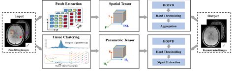 Figure 1 From Accelerating Magnetic Resonance T1ρ Mapping Using Simultaneously Spatial Patch