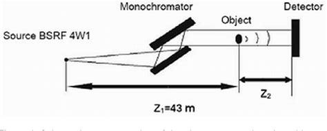Figure 1 From Phase Contrast Imaging With Synchrotron Hard X Ray Of