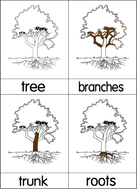 Pin On Montessori 3 Part Cards