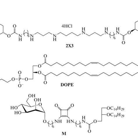 Components Of Mannosylated Liposomes Ml Liposomes Consisted Of