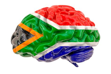 남아프리카 공화국 국기와 인간의 두뇌 남아프리카 공화국 개념의 과학 연구 및 교육 흰색 배경에 고립 된 3d 렌더링 3차원