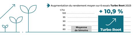 Turbo Root Sur Betteraves Un Trio Gagnant Pour Une Implantation