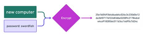 Difference Between Encoding Hashing And Encryption Florian Herlings