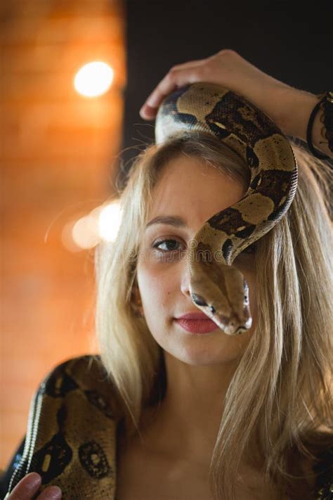 Redhead Woman Holding Snake Close Up Photo Girl With Pygmy Python On A White Background Stock