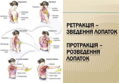 Основні методи дослідження пацієнтів при травмах та захворюваннях опорно рухового апарату ОРА