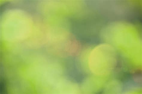 Premium Photo | Bokeh green nature subtle background in abstract style for graphic design