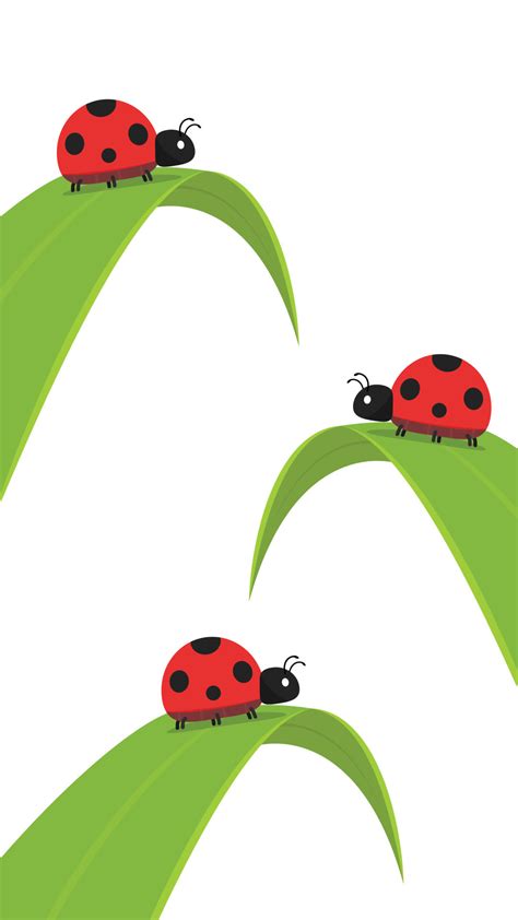 Ladybug On Leaf Wallpaper Free Space For Text Background Symbol
