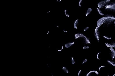 깃털 흰색 패턴 벽지에 대한 검은 배경에 떨어지는 추상 적 새 깃털 텍스처 클로즈업 자연에 대한 감도 응답성의 개념 가까운에 대한 스톡 사진 및 기타 이미지 Istock