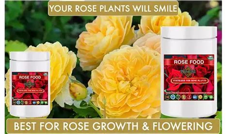 Erwon Rose Food For Rose Plants Best Growth Fertilizer For Rose
