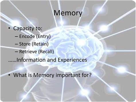 human memory keywords ppt download