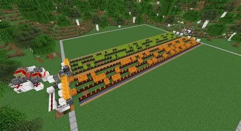 Minecraft Pumpkin Farm Layout