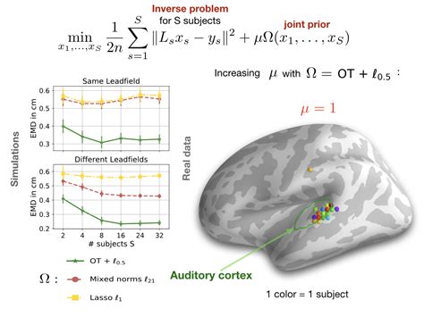 Statistical Challenges In Neuroimaging Group Level Analysis Parietal