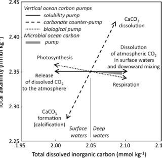 Pdf The Microbial Carbon Pump Concept Potential Biogeochemical
