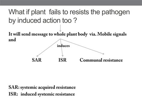 Plant Immunity And Plant Pathogen Interactions Made Easy Pdf