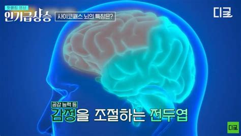 사이코패스 뇌의 특징 인스티즈instiz 인티포털 카테고리
