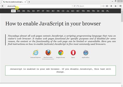 How To Enable Javascript On Major Browsers