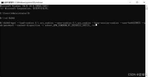 Wget批量下载gldas数据gldas数据下载 Csdn博客