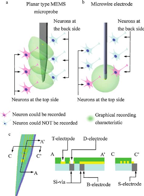Schematic Illustrations Of The Recording Characteristic Of A Planar Download Scientific