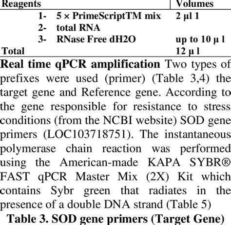 Materials Included In The Prime Script TM RT Reagent Kit Perfect Real Download Scientific