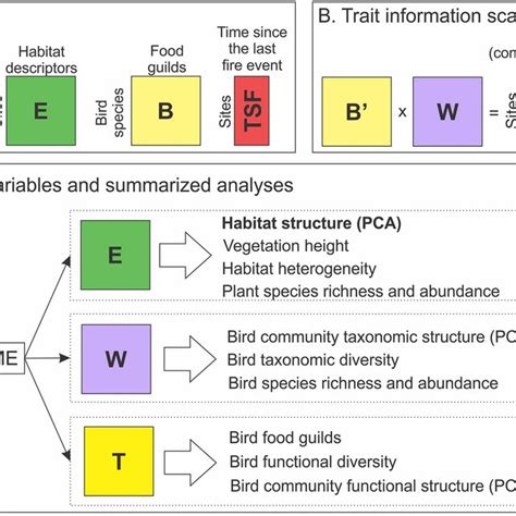Analytical Framework A Data Input Matrix W Of Seven Sites Described