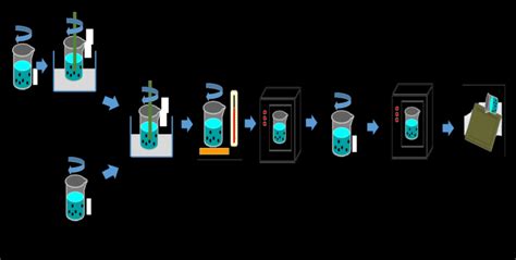 4 Schematic Showing Fabrication Procedure For Pdmscnf Nanocomposite