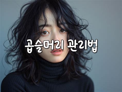 곱슬머리 관리법 머릿결 좋아지는 법 네이버 블로그