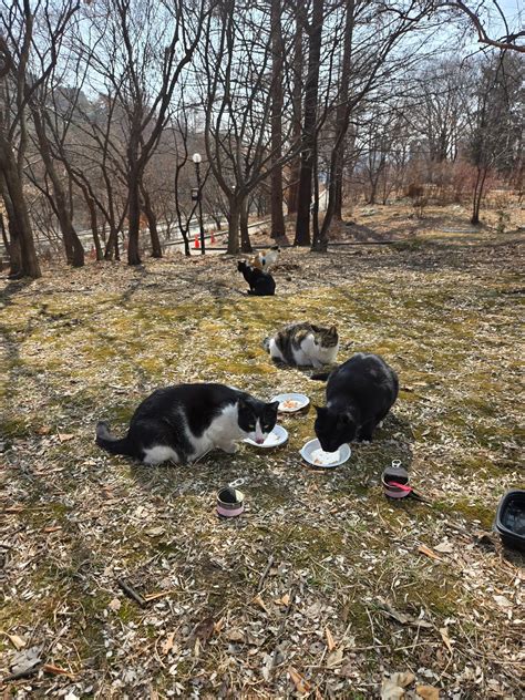 습관적으로 뒷담화 까는 사람 반드시 손절해라 어디선가 너 욕도 100 하고 있다 최악의 습관은 남 욕 하는 것이다 하는 사람 듣는 사람 당사자 모두 힘들어진다