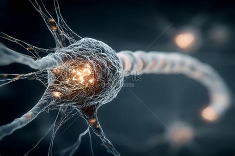 뉴런 구조의 과학적 삽화
