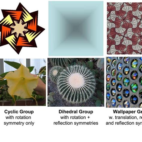 Examples Of Images With Rotation Left Column Reflection And Rotation