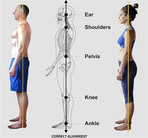 Spine Align Chiropractic Syracuse Westam