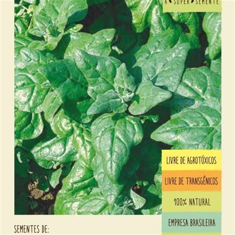 Sementes Espinafre Nova Zel Ndia Isla Leroy Merlin