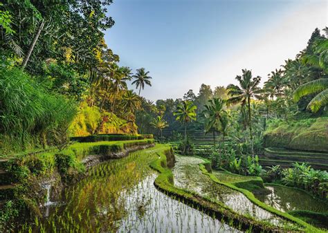 Bali Pauschalreise 2026 11 Of The Best Beaches In Bali Medienhome De