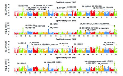 Manhattan Plots Showing The Marker Log 10 P Values And Chromosomal Download Scientific