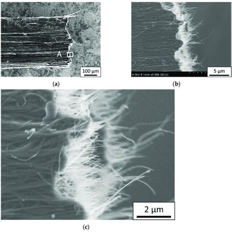 Side View Of Fracture Surface Of Composite Specimen As Produced 40 Nm Download Scientific