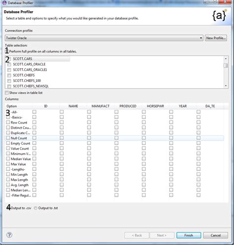 Database Profiling In Iri Workbench — Iri Blog