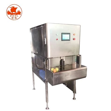 Automatic Pineapple Peeling Machine Pineapple Fiber Decorticating Machine Pineapple Peeling