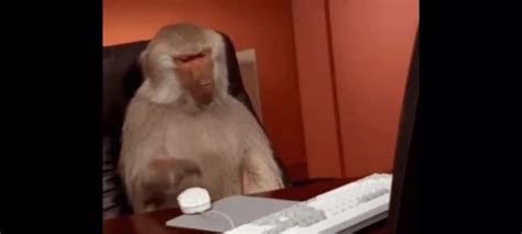 Parth Shukla On Linkedin Faang Maang Faangm Express Opensource