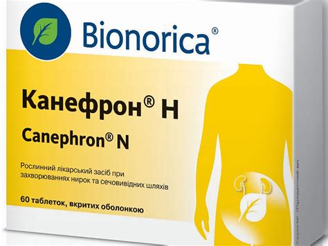 Диуретики в бодибилдинге: мочегонные средства для спортсменов- канефрон ...