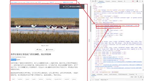 Python必应壁纸爬取系列（二）：bing唯美壁纸太多不知道选哪个？python五行代码随机帮你挑选必应唯美屏保壁纸图片必应随机图片api