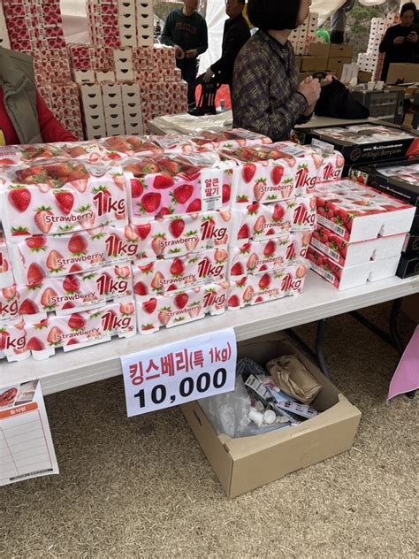 [논산 딸기축제] 2024 논산딸기 축제 주차 And 딸기 가격 And 후기 네이버 블로그