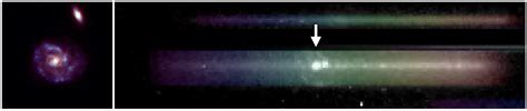 Elsa Euclid Legacy Science Advanced Analysis Tools