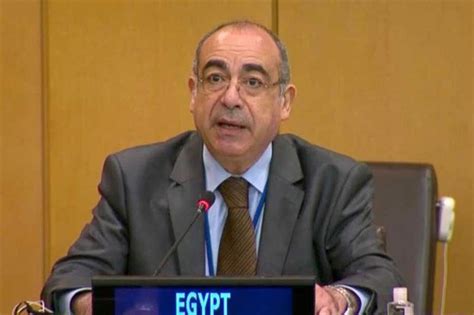 Egyptian Diplomat Mohamed Idris Appointed Au Permanent Observer To Un