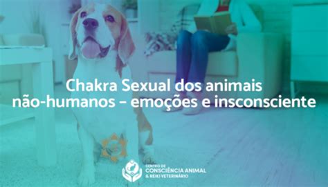 Chakra Sexual Dos Animais Não Humanos Emoções E Insconsciente Blog