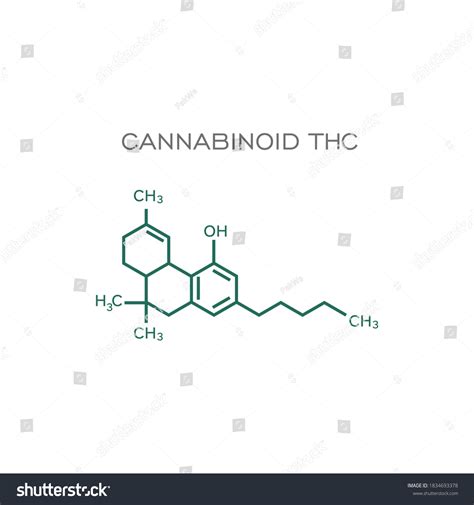 Cannabinoid Thc Vector Image Ready Used Stock Vector Royalty Free