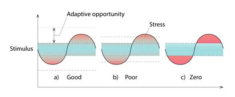 Thermal Comfort Behavioural Adaptation And Overheating Science And