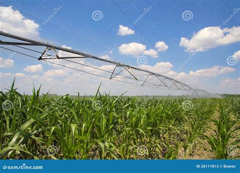 Irrigation Of Corn Field Stock Image Image Of Country 26111813