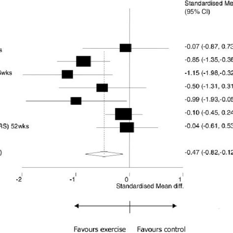 Meta Analysis For Exercise And Physical Functioning Random Effects