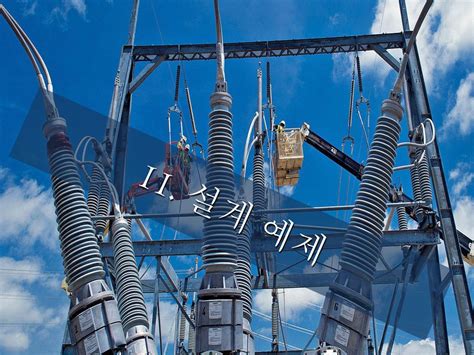 Prof Seewhy Lee Presents Ppt Download