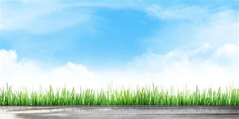 Premium Photo Abstract Summer Grass Field And Sky Wide Backdrop