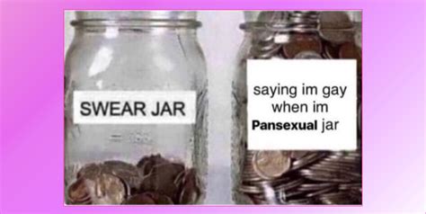 Pansexual Memes 18 Of The Best Pansexual Memes In 2020